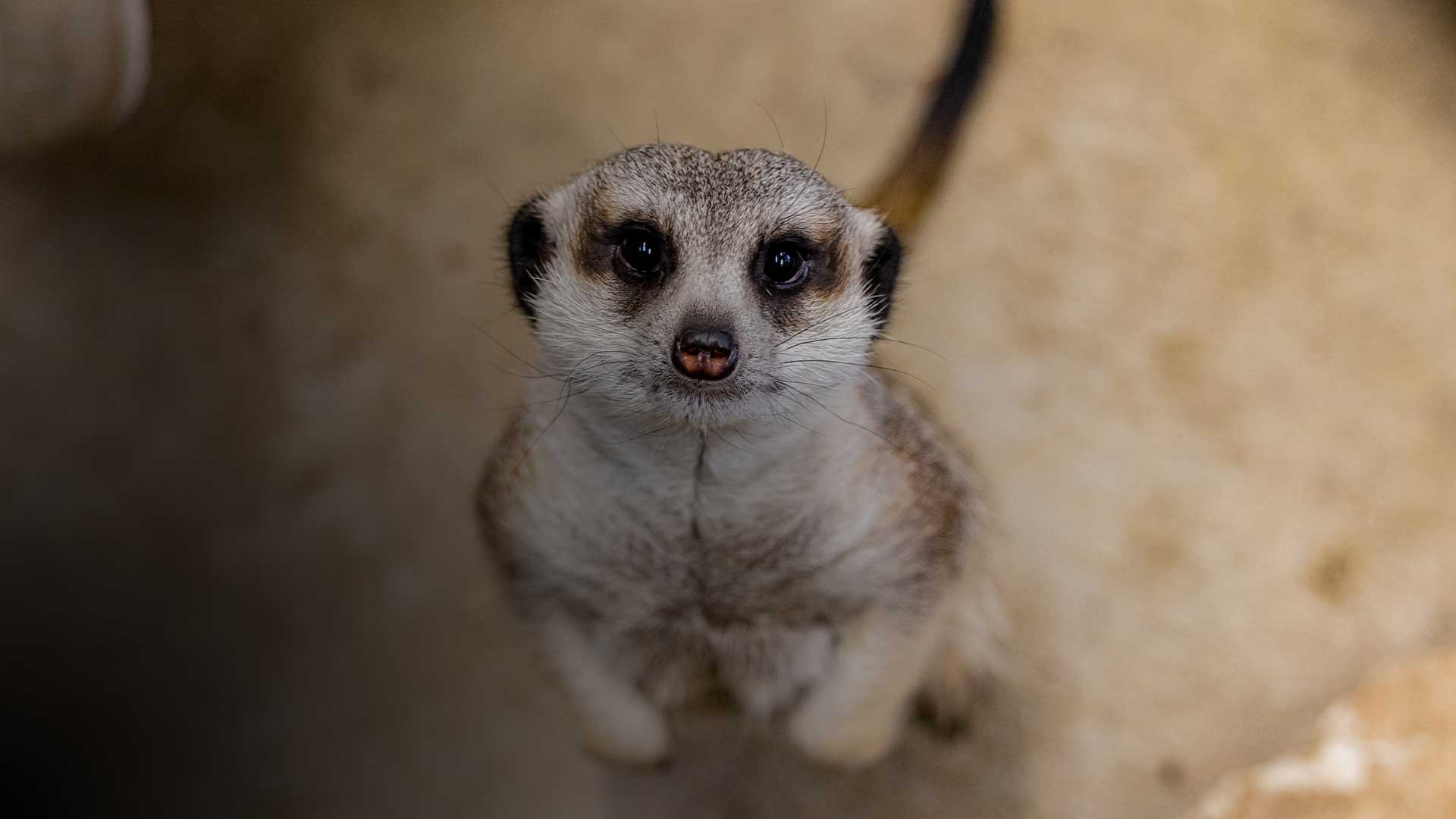 About Zoo Boise - Zoo Boise