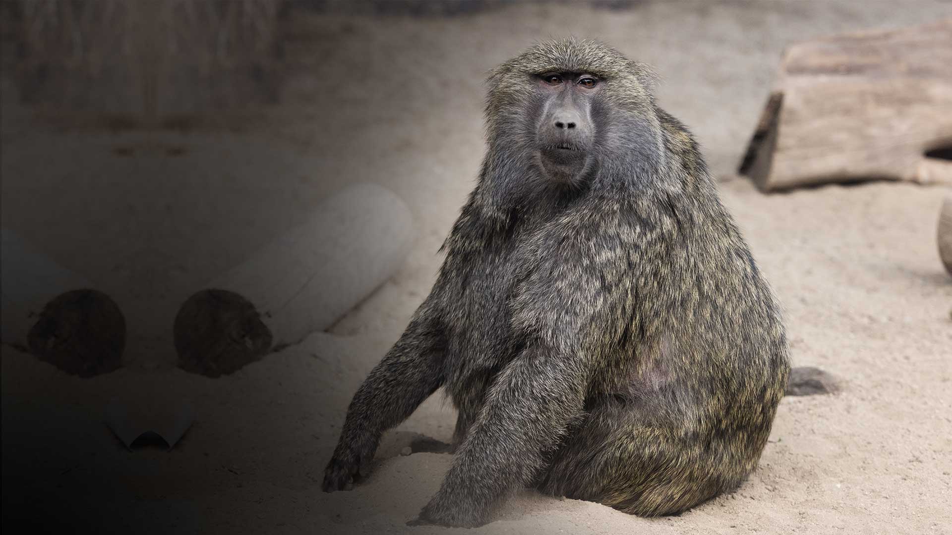 Hours & Pricing - Zoo Boise