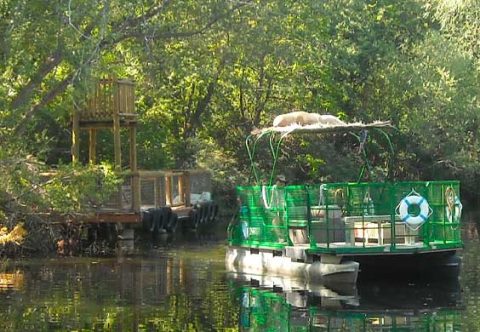 Plan Your Visit | Zoo Boise