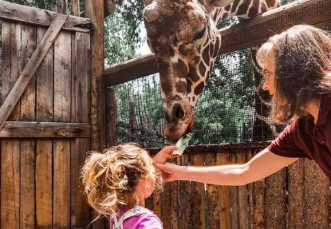 Plan Your Visit | Zoo Boise