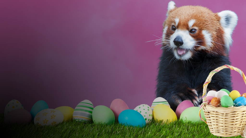 Easter EGGstravaganza presented by U.S. Bank - Zoo Boise