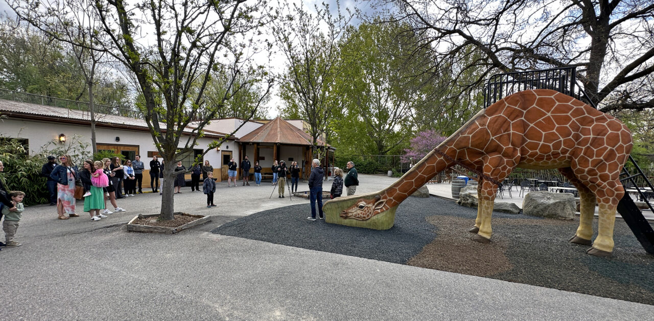 Construction Updates | Zoo Boise